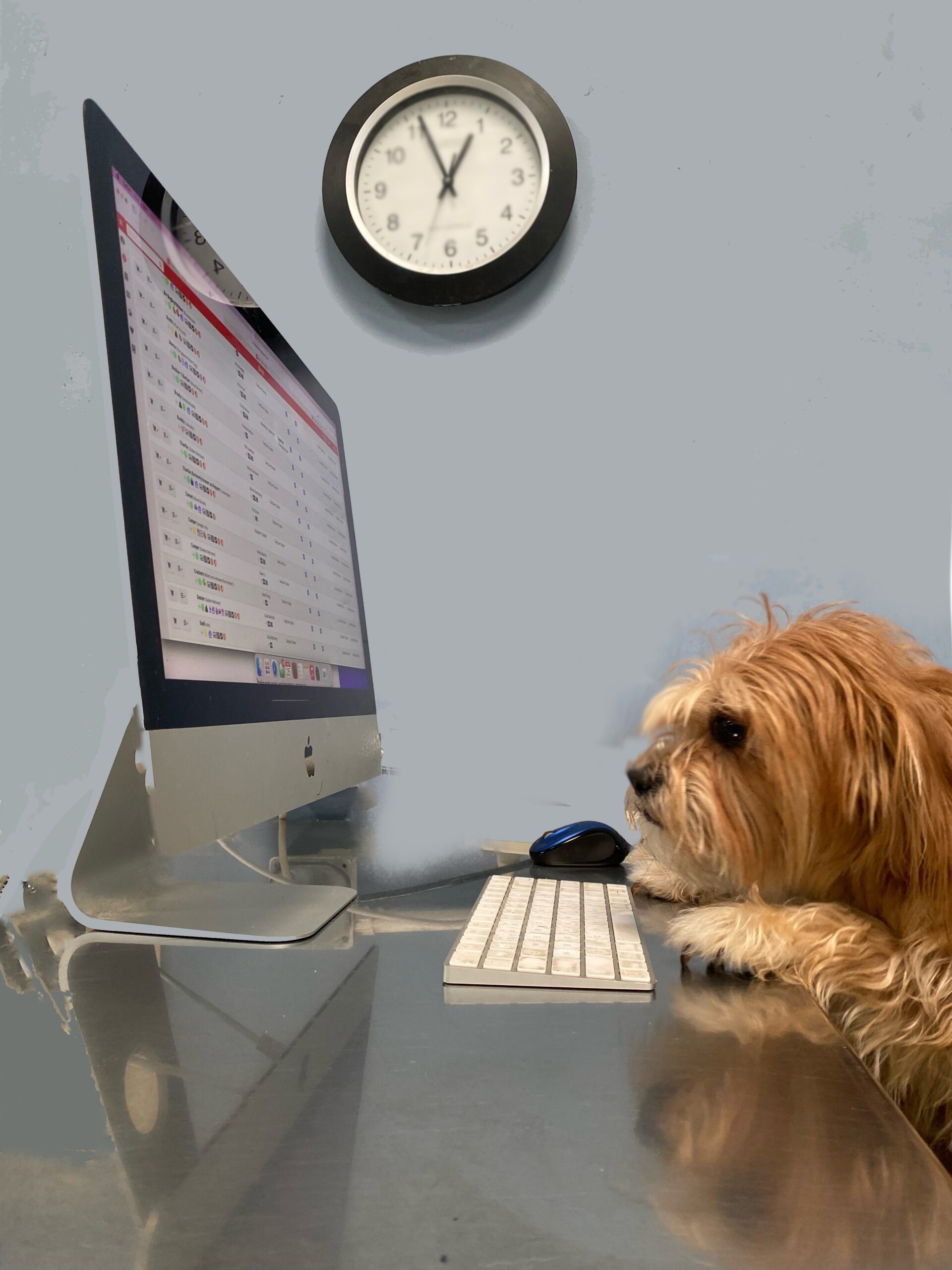 Rex's Place Newsletter for Summer 2024 - Rexs Place