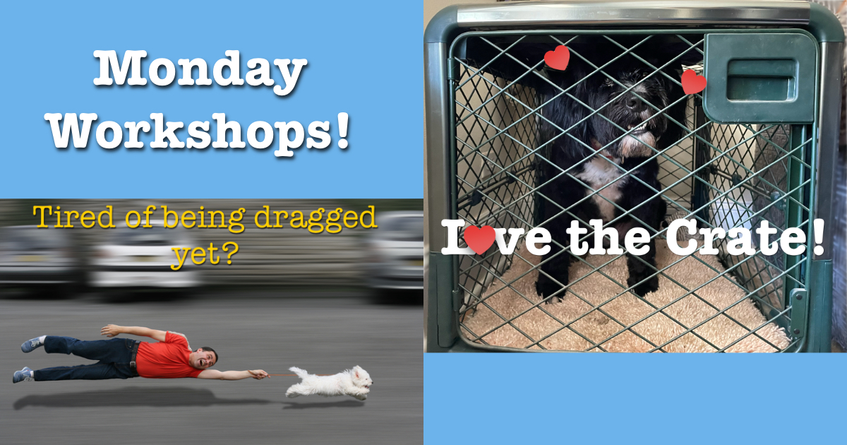 Monday Evening Workshops - Rexs Place